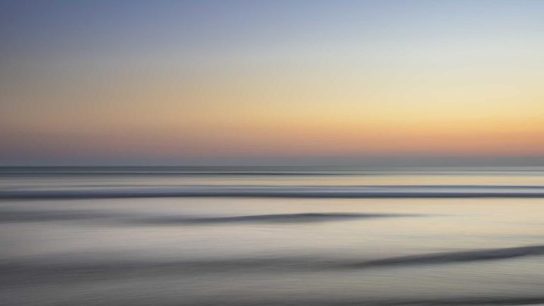 Buckelwal Lübecker Bucht: in der gestrandet