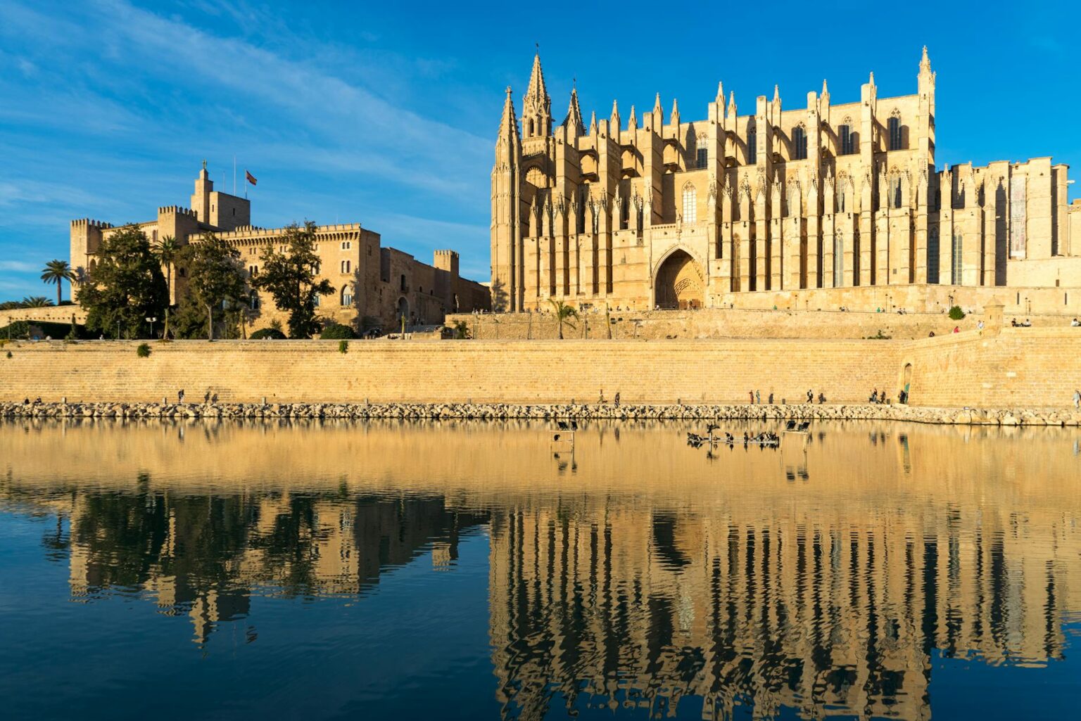 Promis Mallorca Neuanfang: Ihr Sonniger Neustart auf der Insel