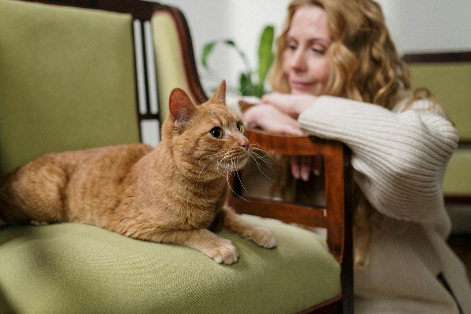 Xo Kitty Staffel 4: Gibt es Hoffnung für neue Folgen
